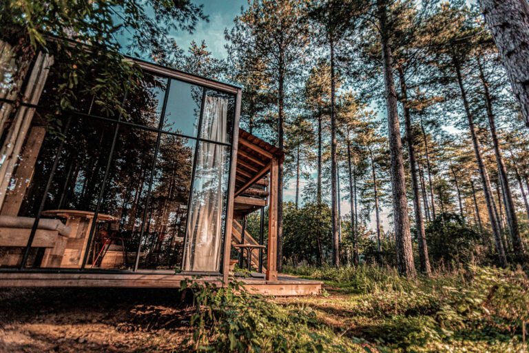 Duurzaam overnachten in Nederland: Wat is een ecolodge?